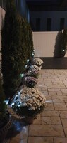 Apartamento, 1 quarto, varanda | Terrenos do alojamento