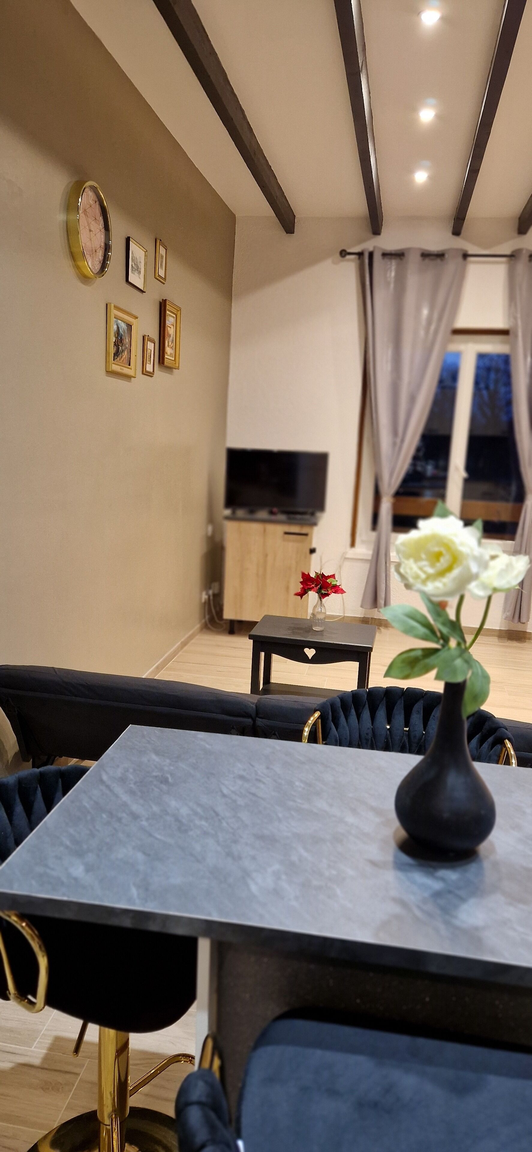 Chic & Design 3-person Studio Near Downtown Thonon-les-bains - Thonon-les-Bains