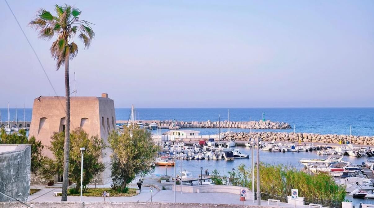 Terraço/pátio interior