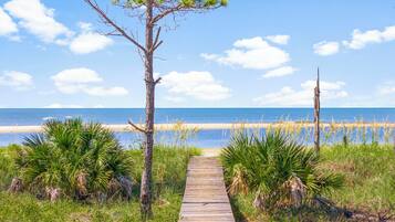 Perto da praia, praia de areia branca, pesca