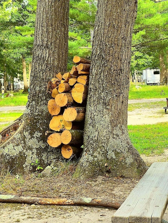 Relax, Unwind, And Enjoy Your Stay At Our All-season Rv Escape - New Jersey