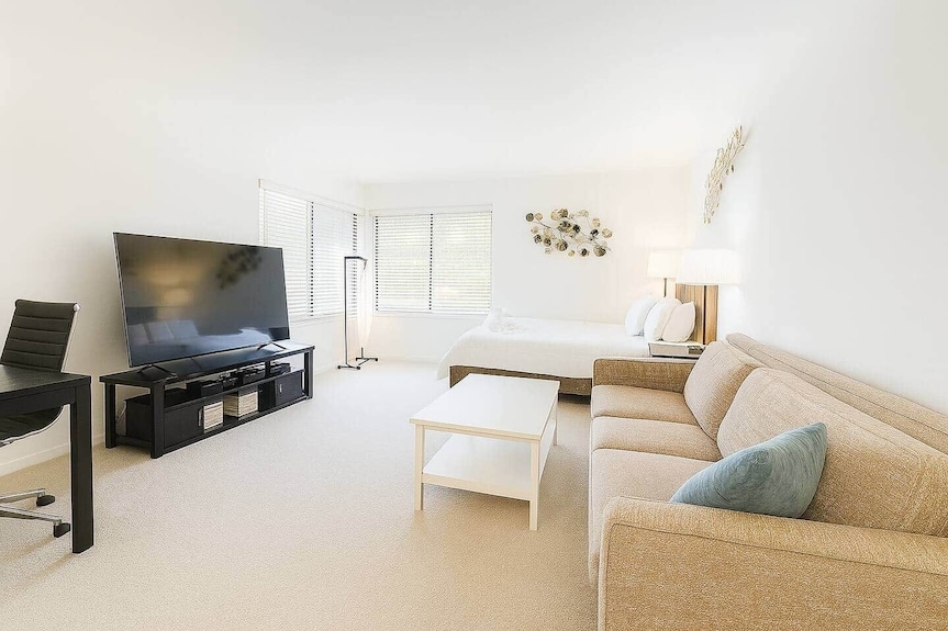 Big Room Queen Bed & Sofa Bed/ Perfect Environment - Sunnyvale, CA