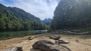Margem de rio com troncos grandes e uma encosta arborizada ao fundo.