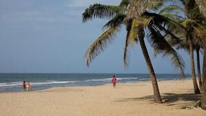 Uma praia com palmeiras e uma pessoa caminhando.