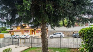 Zona residencial com árvore, cerca e carros estacionados.