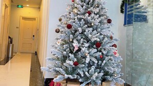 Árvore de Natal decorada com enfeites e uma estrela no topo, em área de recepção com parede de vidro e uma porta ao fundo.