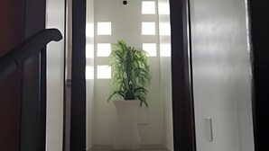 Um corredor com uma planta em vaso, paredes brancas e chão de azulejos.