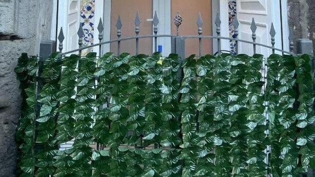 Uma entrada de edifício com arco branco, parede decorada com azulejos e guarda-corpo de metal com folhagem verde.