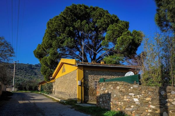 Saygın Farmhouse Ephesus Boutique Hotel - Manisa