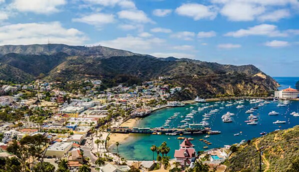 Fancy Irvine Apartment - Shopping + Dining + 中文服务 口コミ、宿泊料金、写真 2026 ...