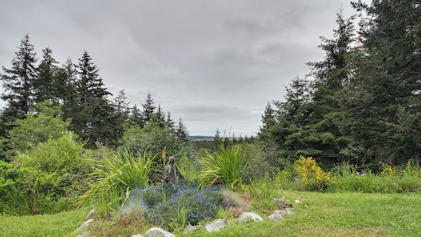 Um jardim com uma estátua, diversas plantas e vista para árvores ao longe.
