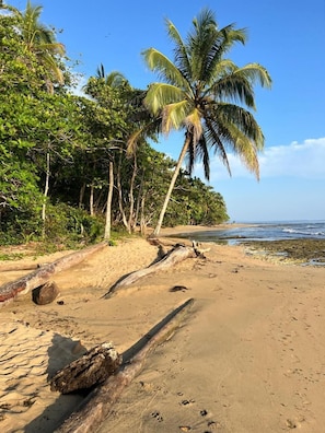 Na praia, areia branca