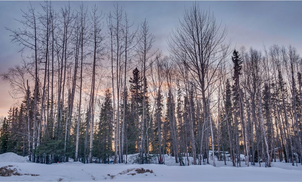 Kenai Peninsula Base Camp All Cabins on property Avis, Prix & Photos ...