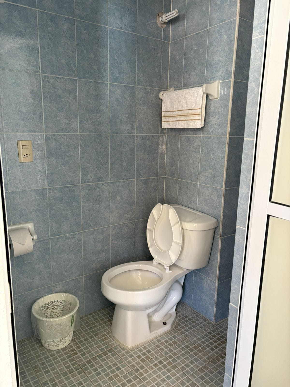 Casa de banho com sanita, chuveiro e um porta-toalhas.