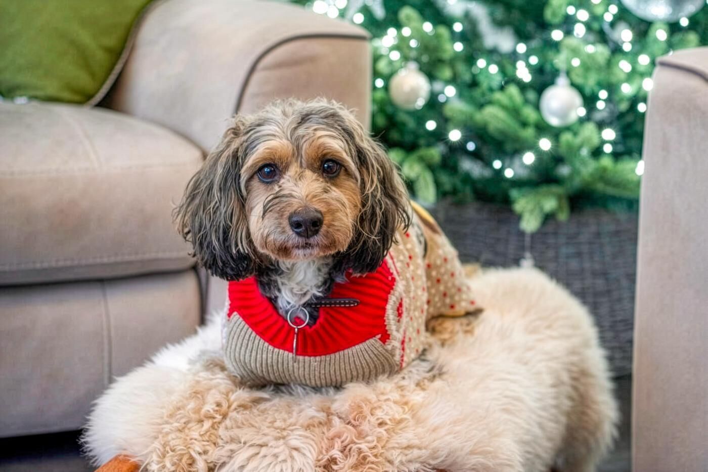 2 Bed In Minchinhampton (Oc-w33358) - Tetbury