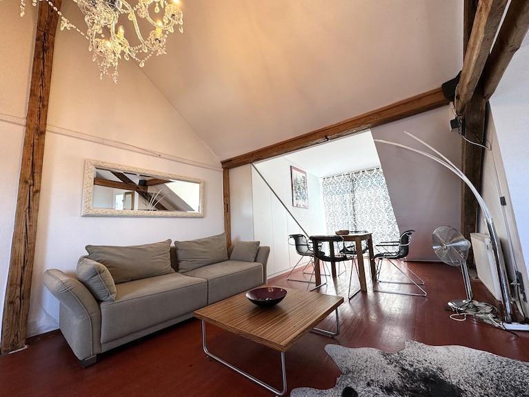 Historical Luxury Homes - City Lux Apartment In The City - Fribourg-en-Brisgau