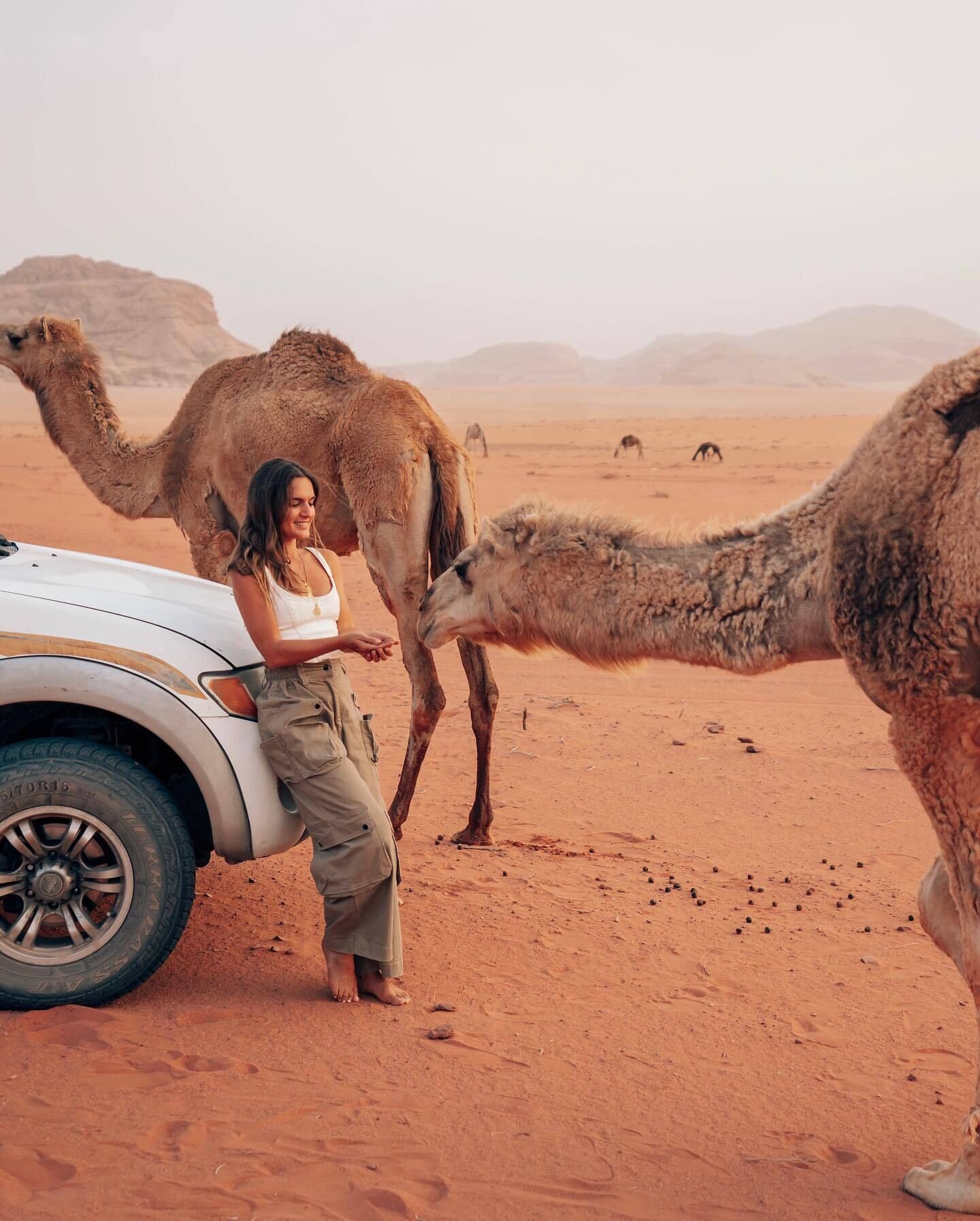 Paisagem desértica com camelos e um veículo.