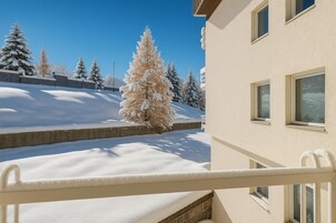 Terrenos do alojamento