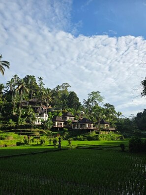 Fachada da propriedade