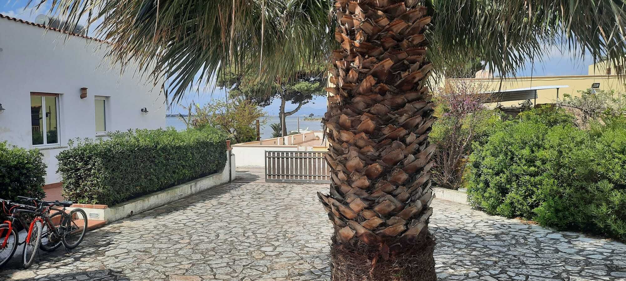 Quarto Deluxe, 2 camas queen-size, vista para o pátio | Vista do quarto