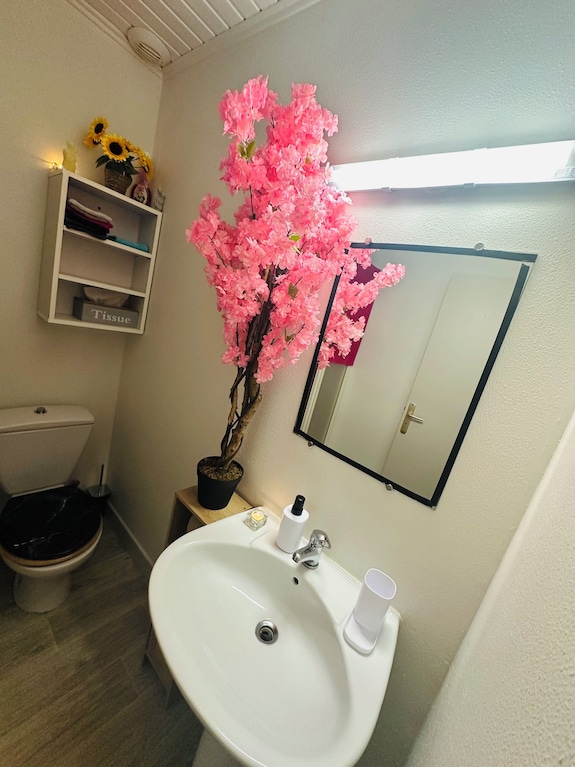 Apartment With Large Garden - Villeneuve-sur-Lot