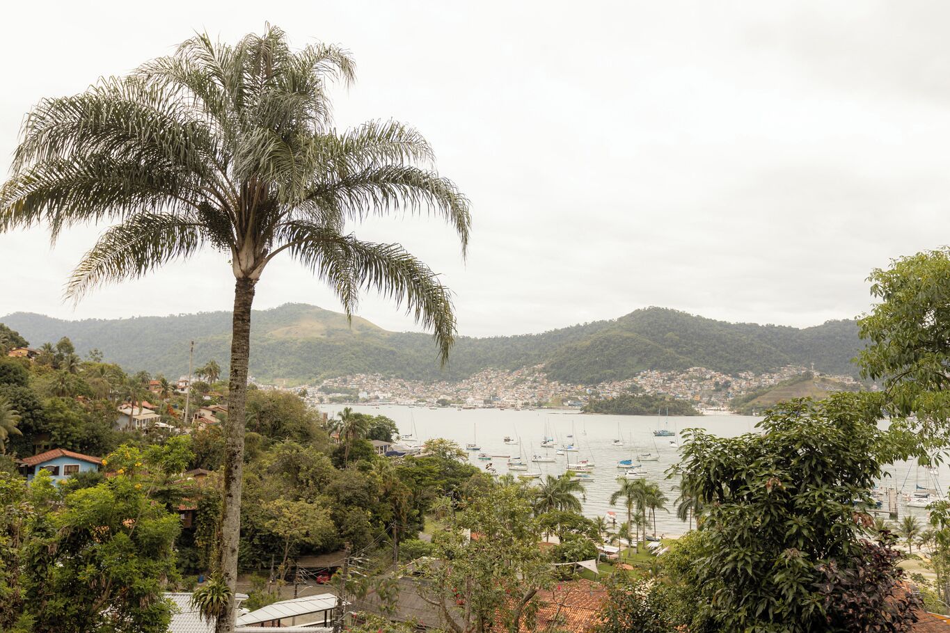 Apartamento | 1 quarto 