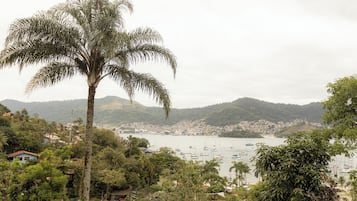 Apartamento | 1 quarto