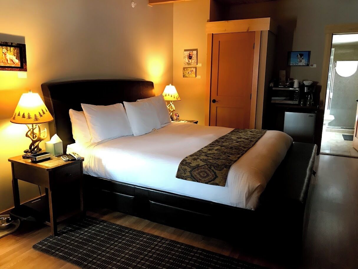 Quarto, 1 cama King, aceita animais de estimação | Ferros/tábuas de passar roupa, Wi-Fi de cortesia, roupa de cama