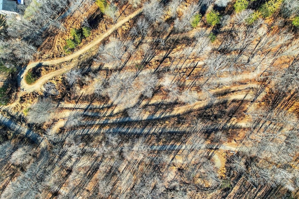 Natural Getaway At Orchard Farm Lakeside Retreat - Rockland County, NY