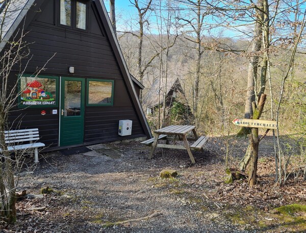Quiet Family Chalet In Durbuy Hills - Durbuy