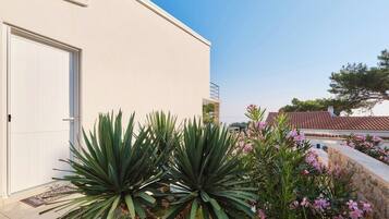 Terrenos do alojamento