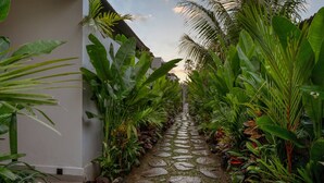 Um caminho estreito com pedras irregulares, cercado por vegetação tropical exuberante.