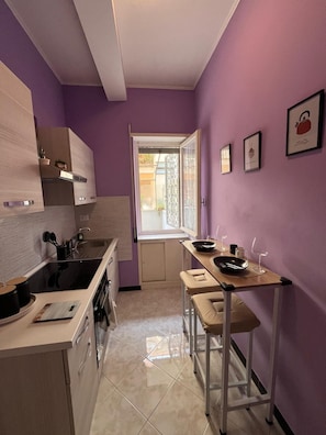 Apartamento, 1 quarto, fumadores, terraço | Cozinha privada