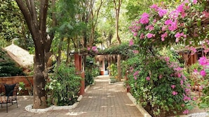 Um caminho no jardim com árvores e plantas floridas.