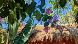 Um edifício vermelho com arcos brancos e telhado de palha, rodeado por vegetação.
