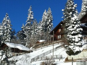 Chalet Silberdistel B11 by Interhome Reviews, Deals & Photos 2026 ...