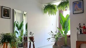Uma sala de estar ampla com um espelho grande, várias plantas em vasos, um cavalete de madeira e um sofá.
