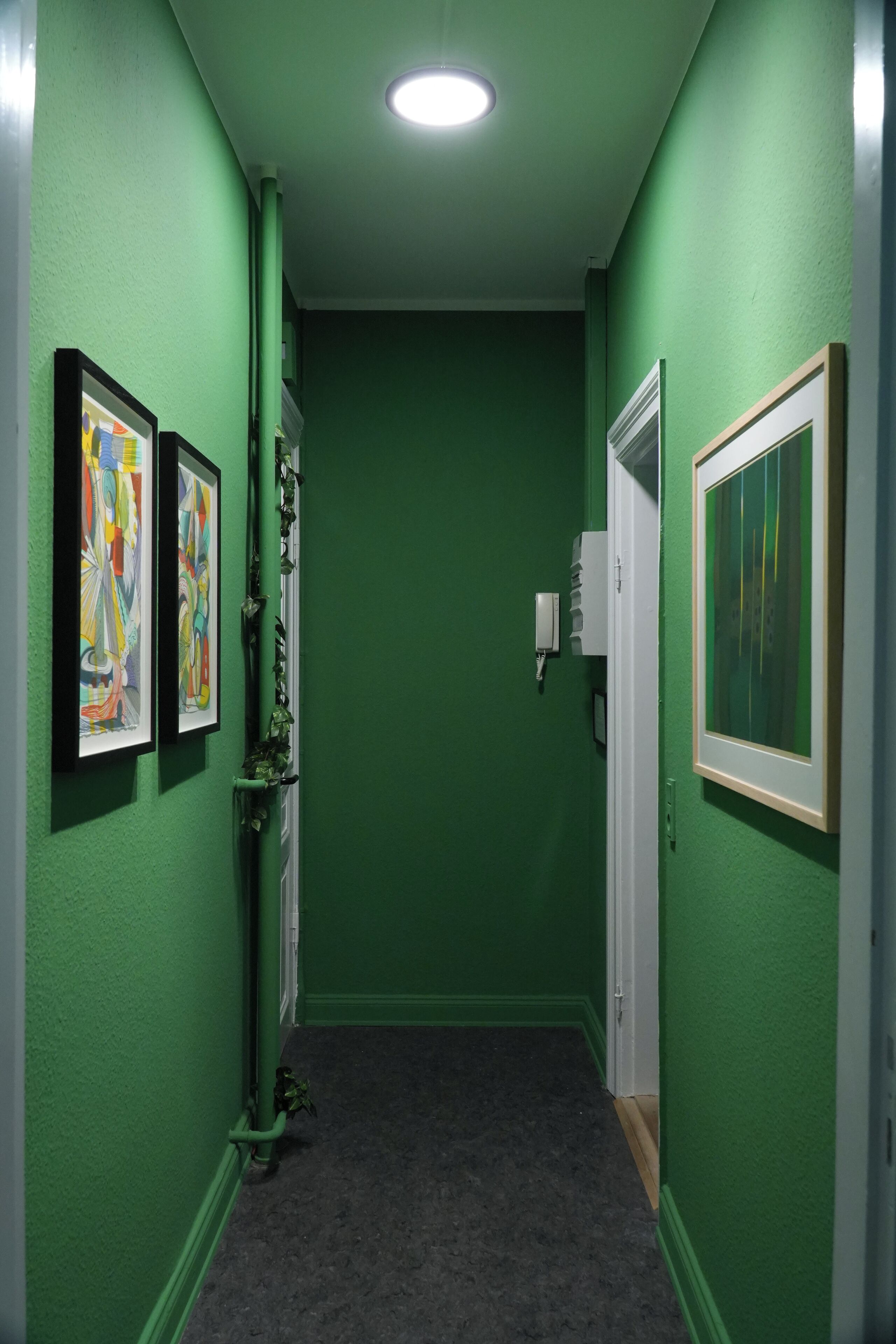 Corredor com paredes verdes, obras de arte emolduradas, uma porta branca e um acessório de iluminação.