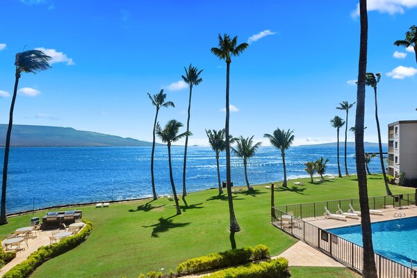 Maalaea Kai 311: Direct Ocean Front, Couples Retreat, Incredible Views, Split Ac - Maui Ocean Center, The Aquarium of Hawaii