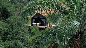 Vista da propriedade