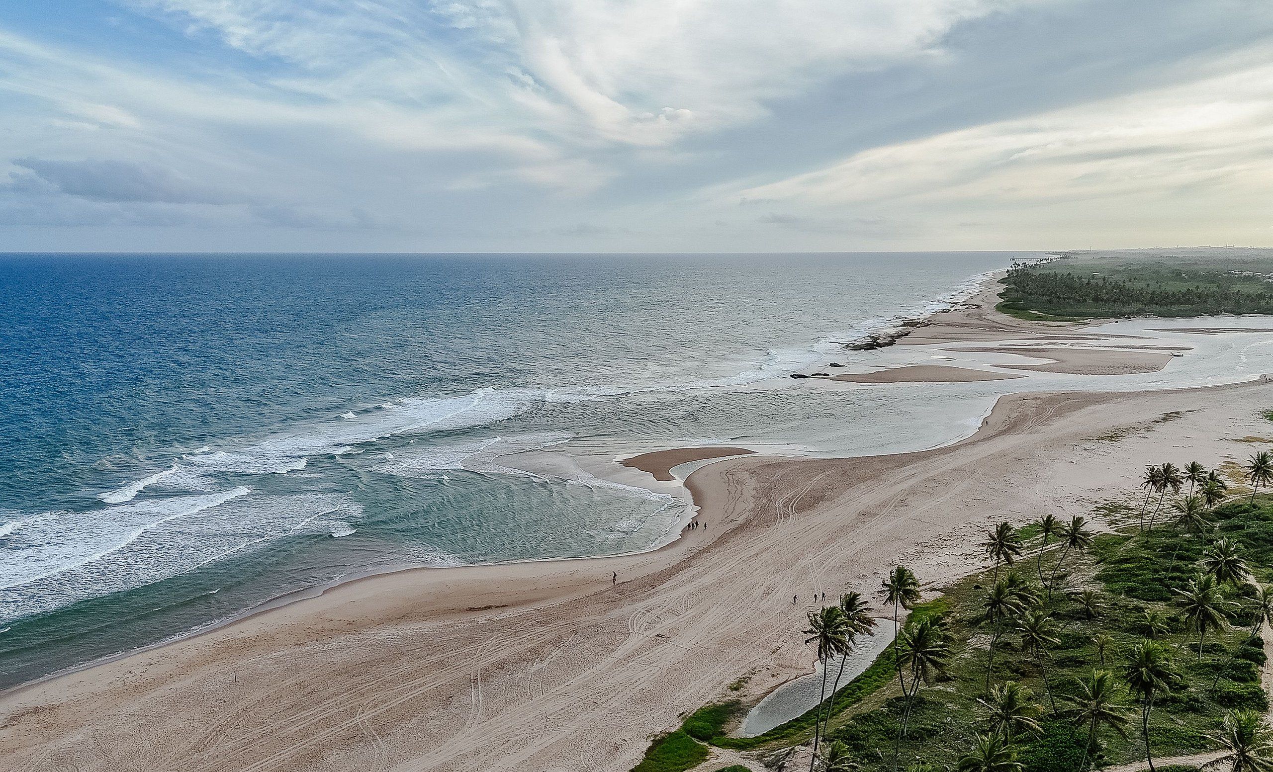 Paisagem costeira com uma praia, oceano e palmeiras.