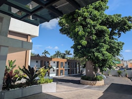 Um edifício moderno com uma grande árvore no centro, rodeado por plantas em vasos e um parque de estacionamento.