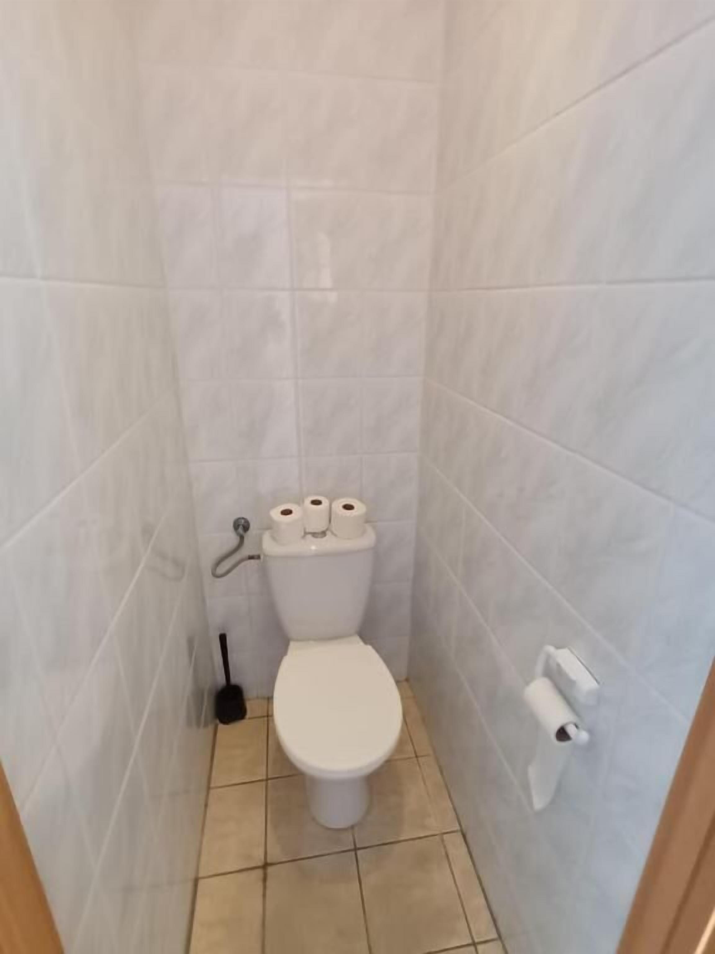 Casa de banho pequena e revestida a azulejos, com sanita, rolo de papel higiénico e destupidor.