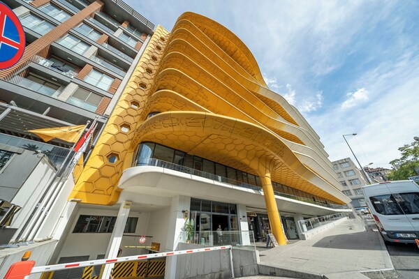 Petek Guest Teori - Fatih