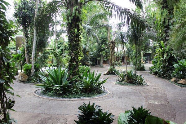 The Jungle Pots - Bali