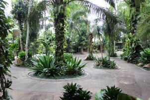 Jardim