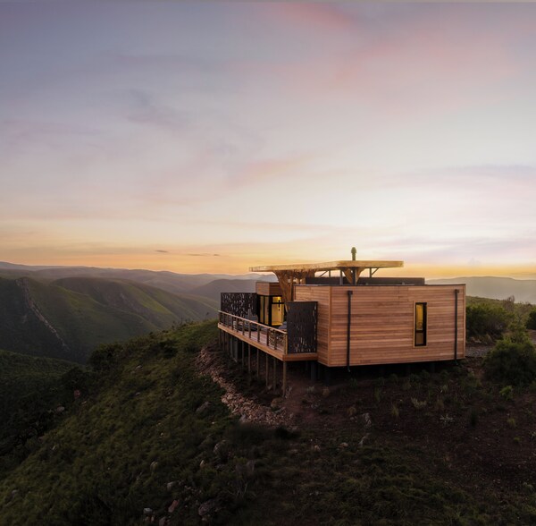 Mantis Hiddn In Addo - Gqeberha