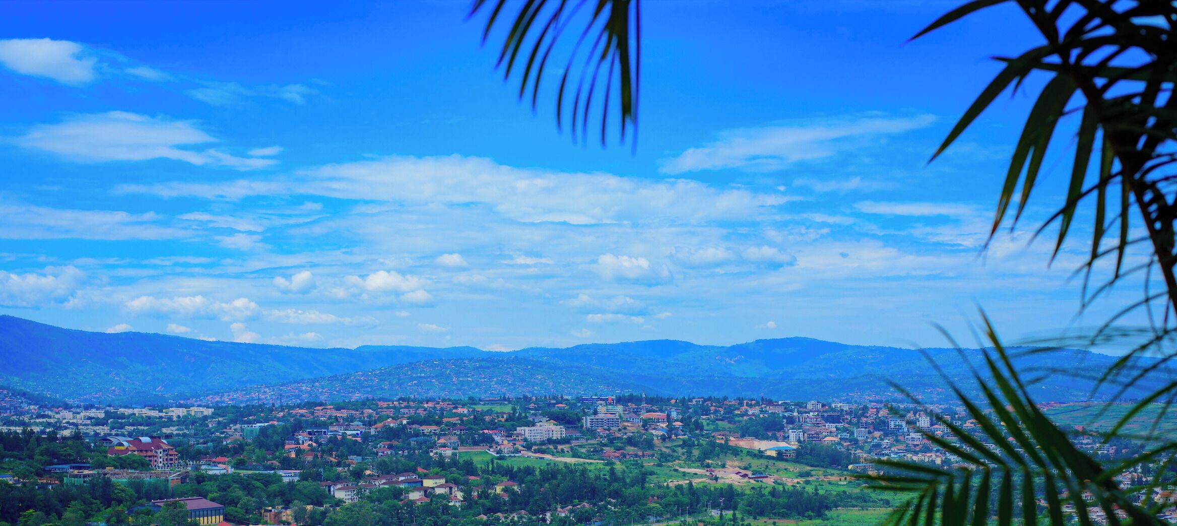 Cortinas/cortinados opacos, Wi-fi grátis 