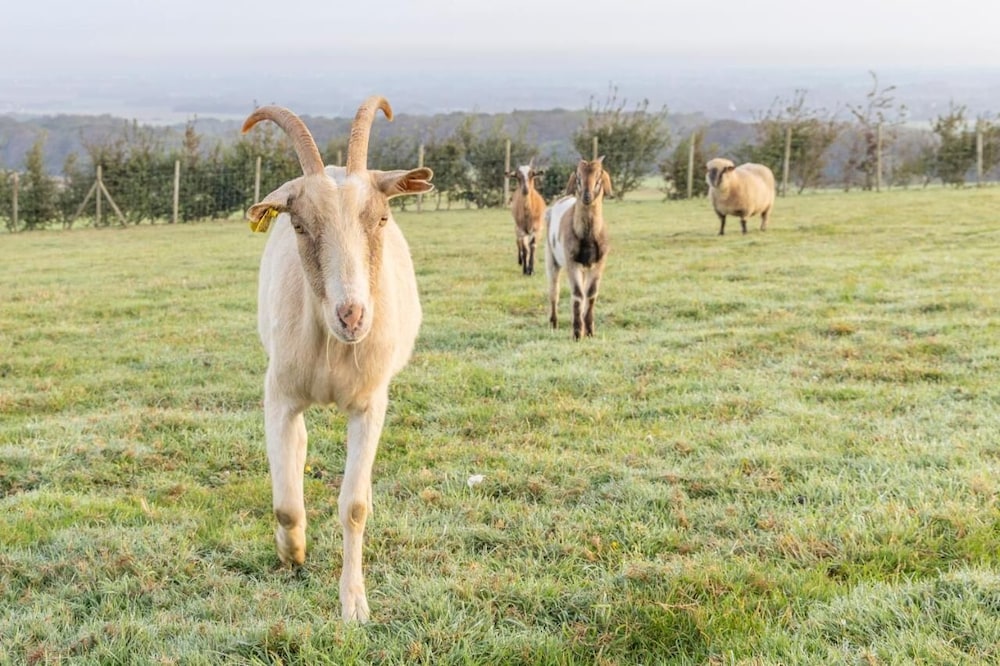 Maison D'hôte La Ferme Du Grand Air - Guines