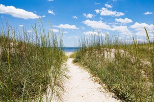 Uma trilha de areia que leva a uma praia, com grama alta em ambos os lados.